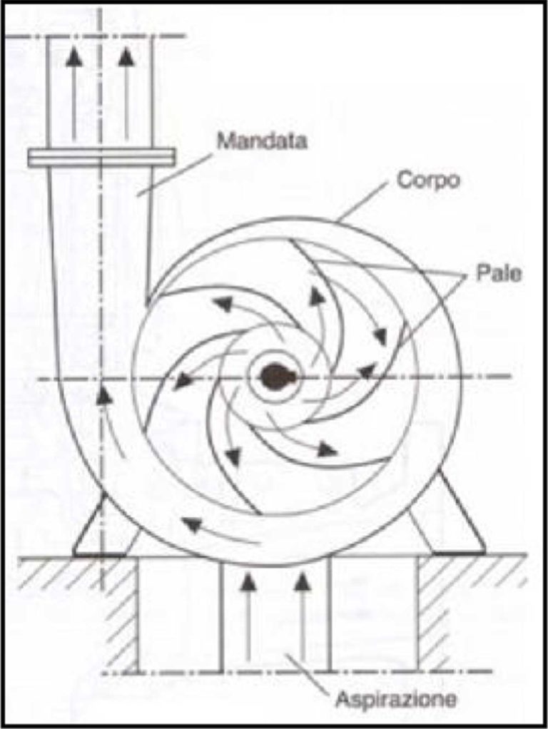 Schema pompa centrifuga - ASV Stubbe Italia